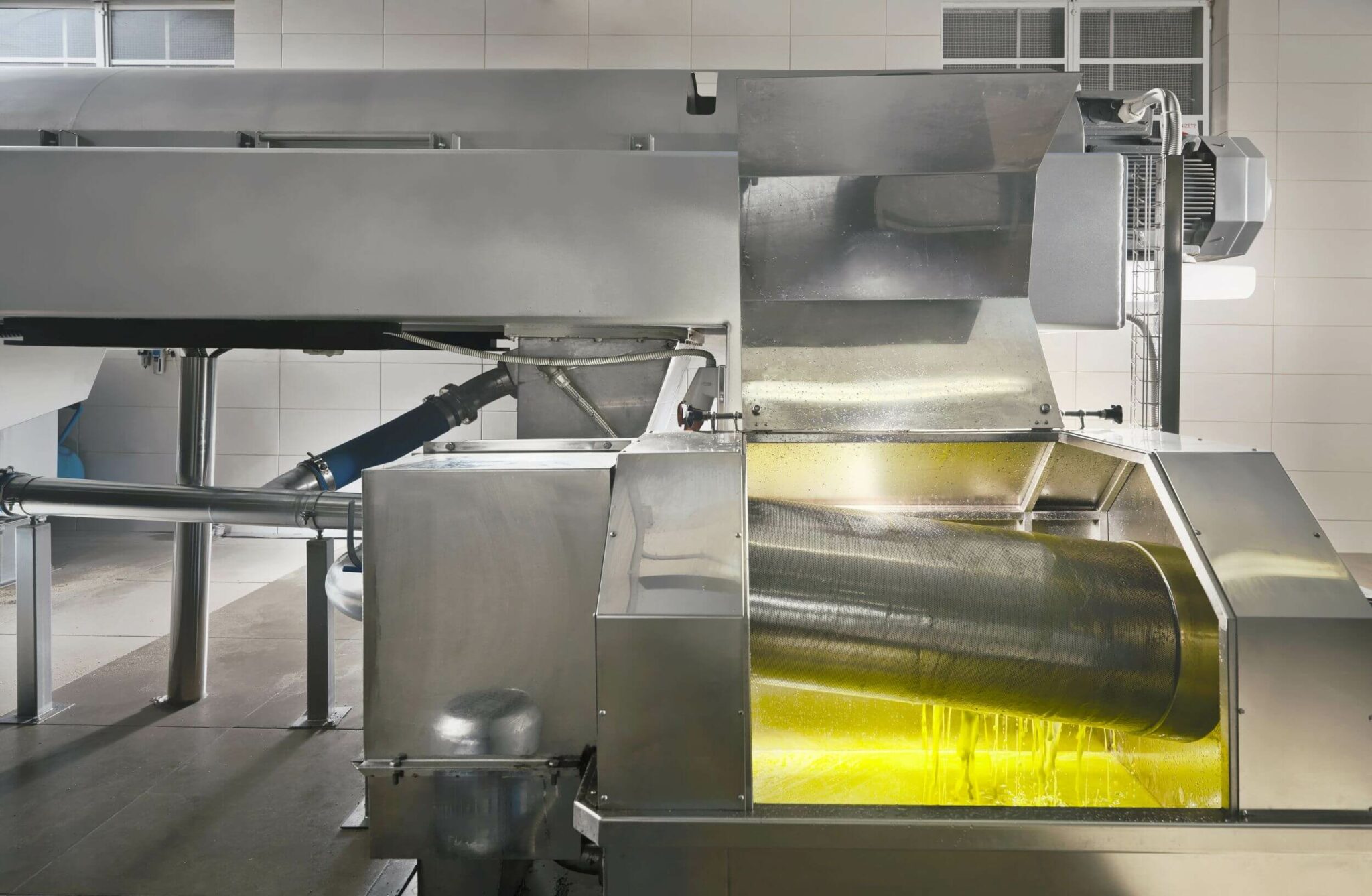 Olive Oil Production - Olive ergo